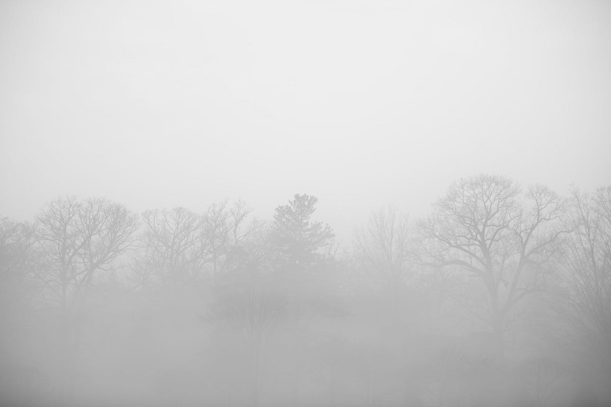 Fog. Rare. Cool. Fun to photograph! | by planetMitch | Medium
