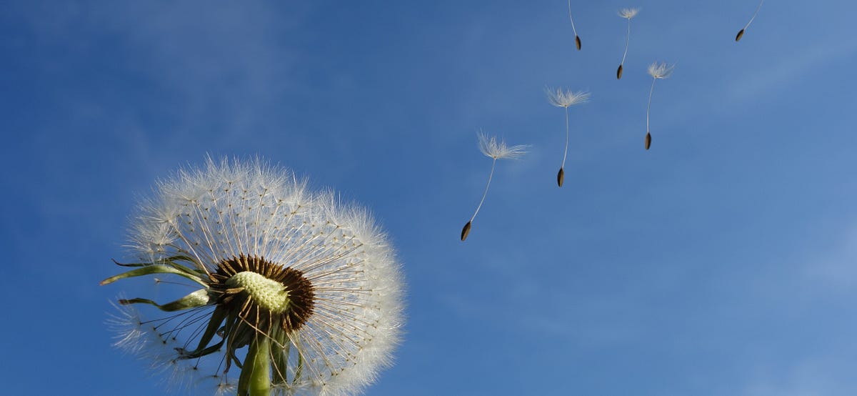 Creating random seeds with Java. Random number generators should not be ...