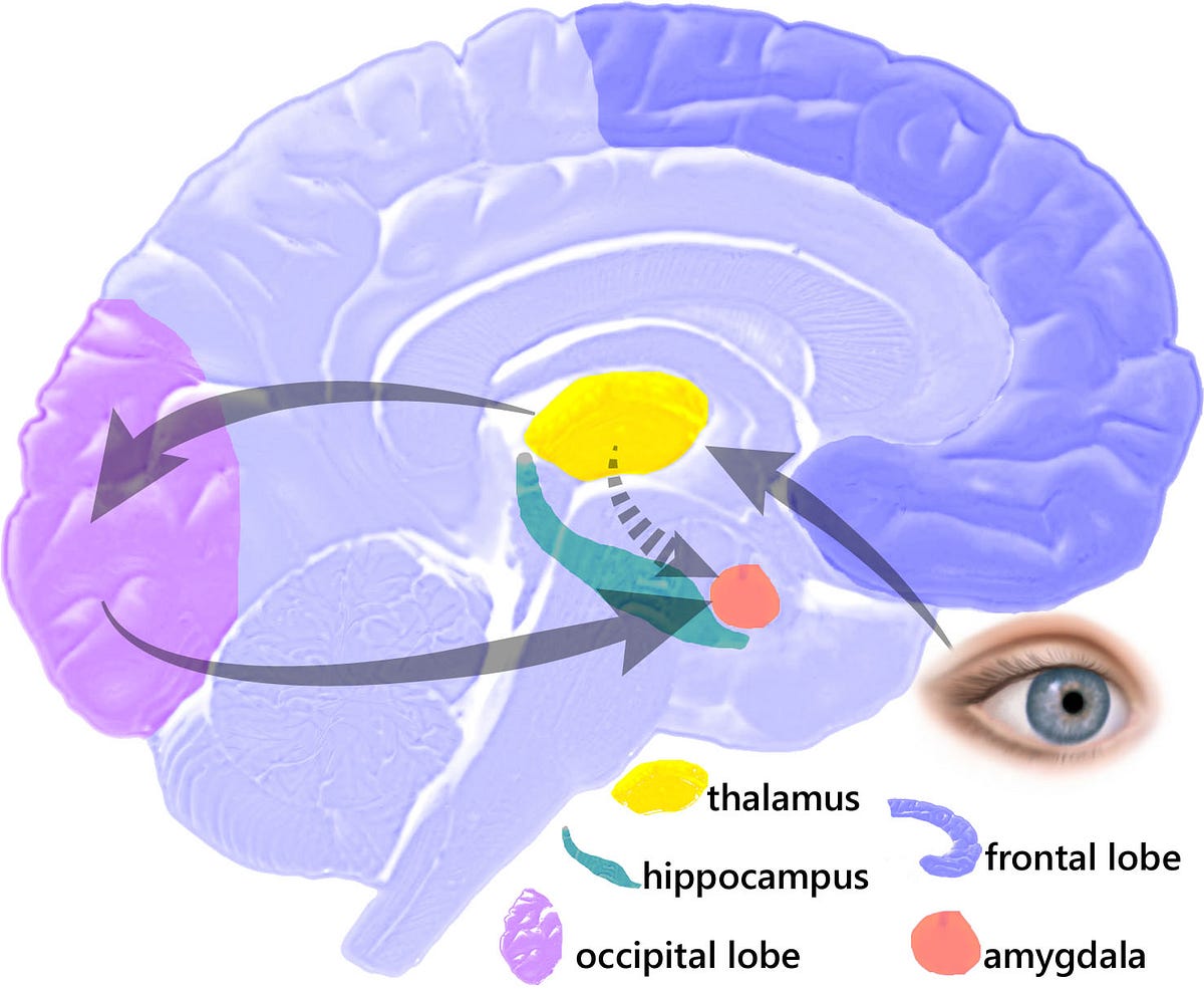 The Kindling Effect: Why Your Emotional Reactions Are Getting Bigger ...