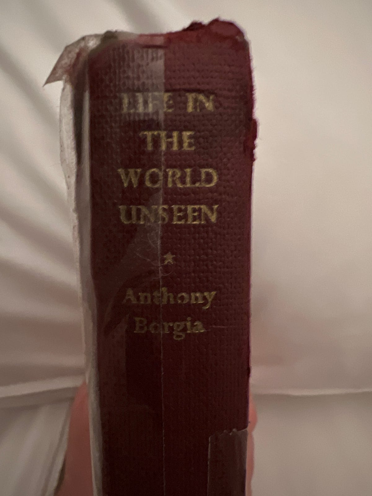 LIFE IN THE WORLD UNSEEN