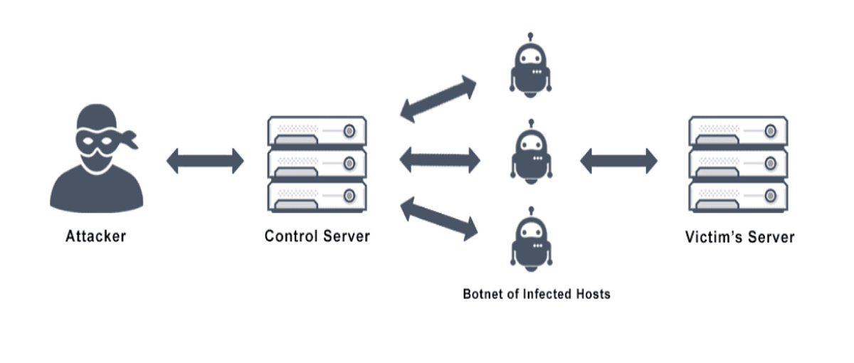 How to perform a DDoS attack through a Botnet | by Maruf Sherefa | Medium