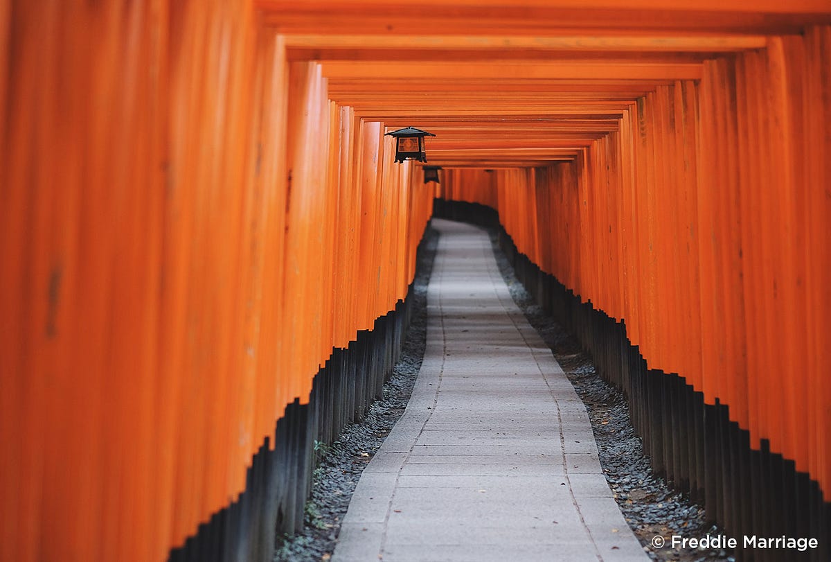 Model Selection Techniques in ML/AI with Python | by Shachi Kaul ...