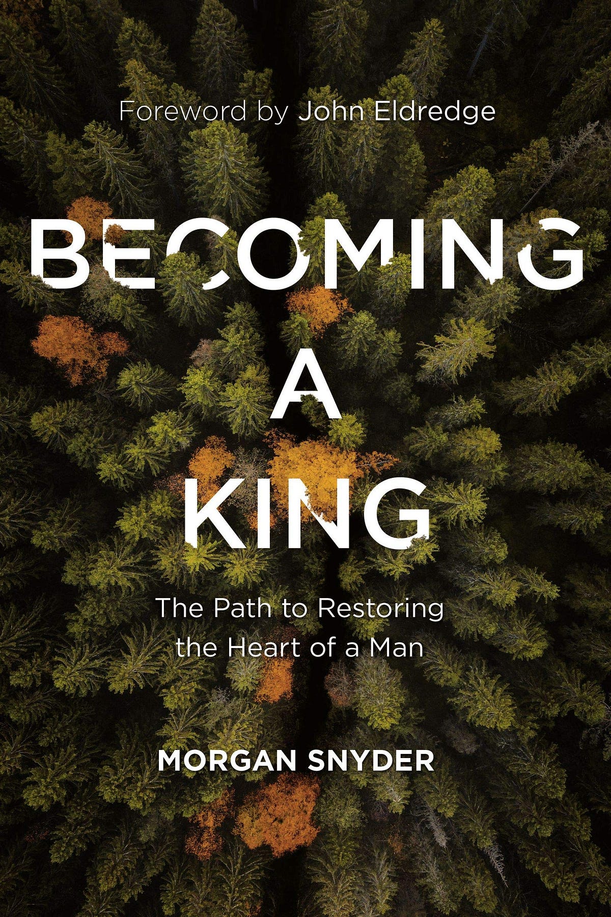 (EBOOK> Becoming a King: The Path to Restoring the Heart of a Man ...