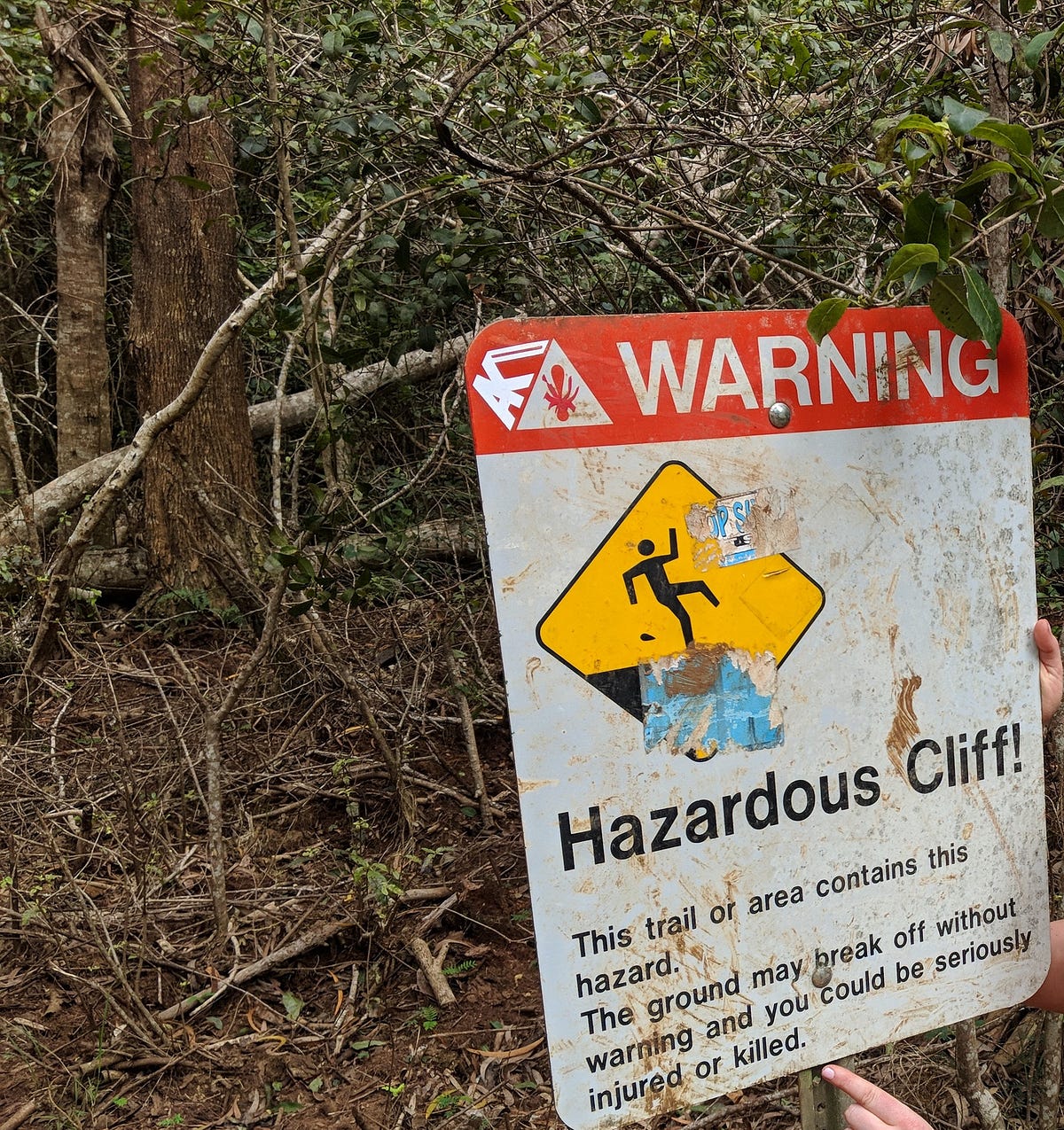 Fast and Simple Rendering in Rust using Proc Macros | by Pete Mertz | HackerNoon.com | Medium