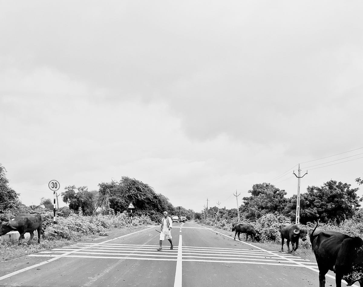 Disconnect from Abundance. Life often leads us down paths that… | by ...