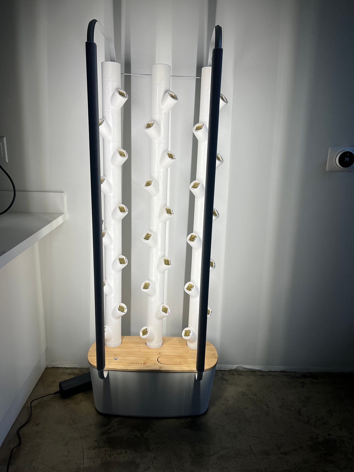 So you you’re thinking about a hydroponic garden… | by Addison Chen ...