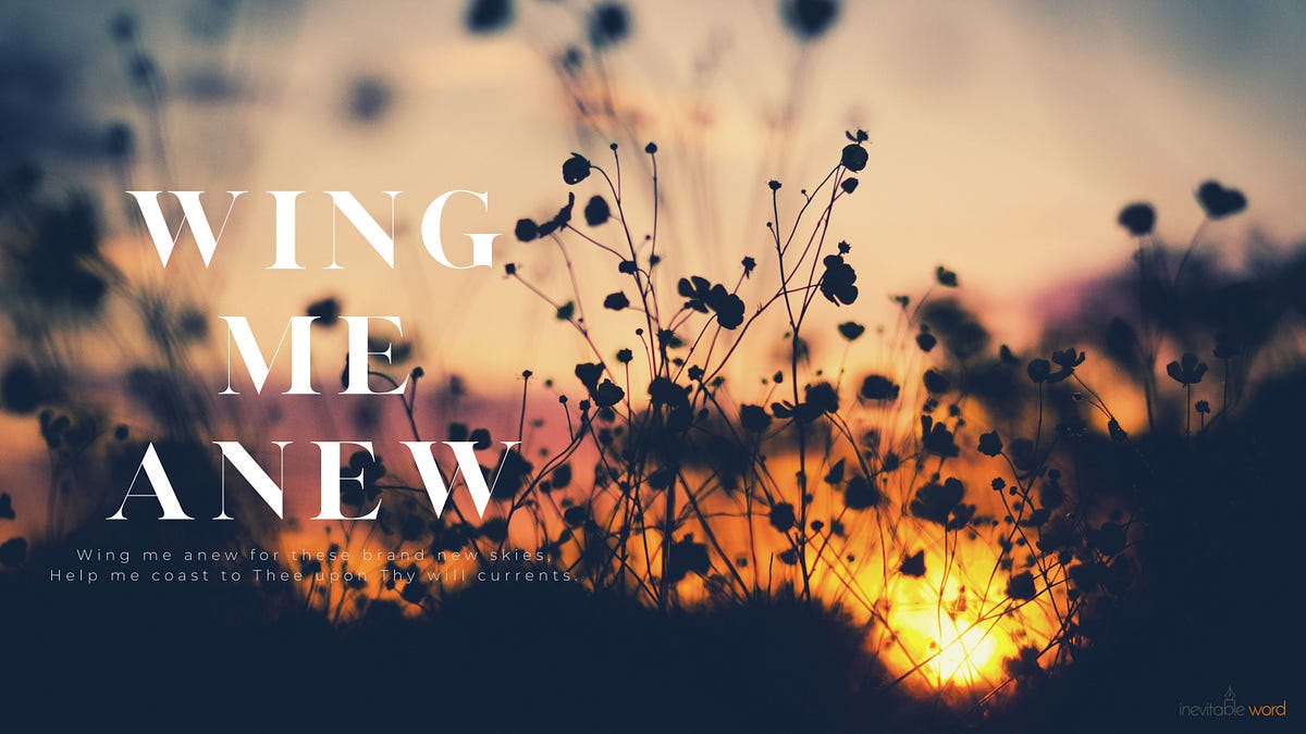 Wing Me Anew. Poem — An Invocation to The Master #62 | by Mahesh CR ...