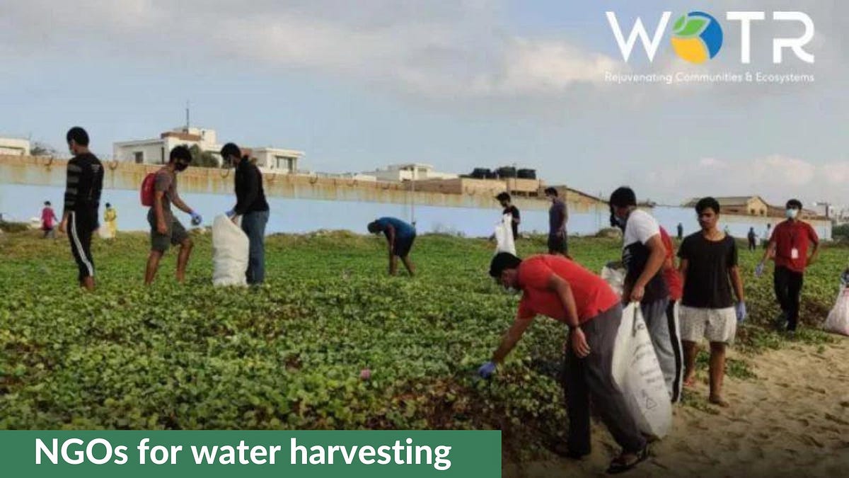 NGO’s Efforts At Unearthing Rainwater Harvesting Solutions | by Wotr ...