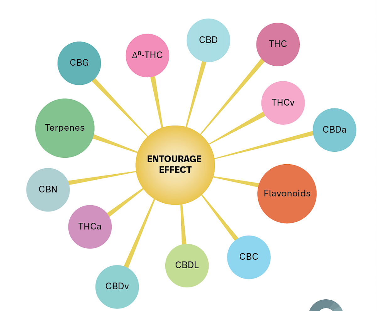 what exactly is the entourage effect? | by cbd handbook | Medium