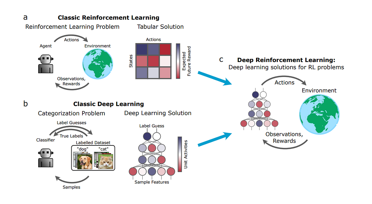 DeepMind Explores Deep RL for Brain and Behaviour Research | by Synced ...