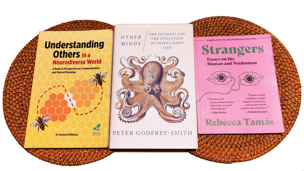 Understanding Others: Other Minds; Strangers | by Fergus Murray | Medium