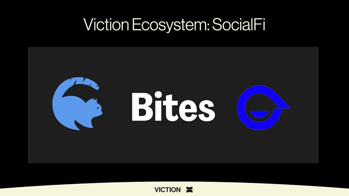 Cococat: Navigating the Seas of Privacy, Innovation, and Friendship ...