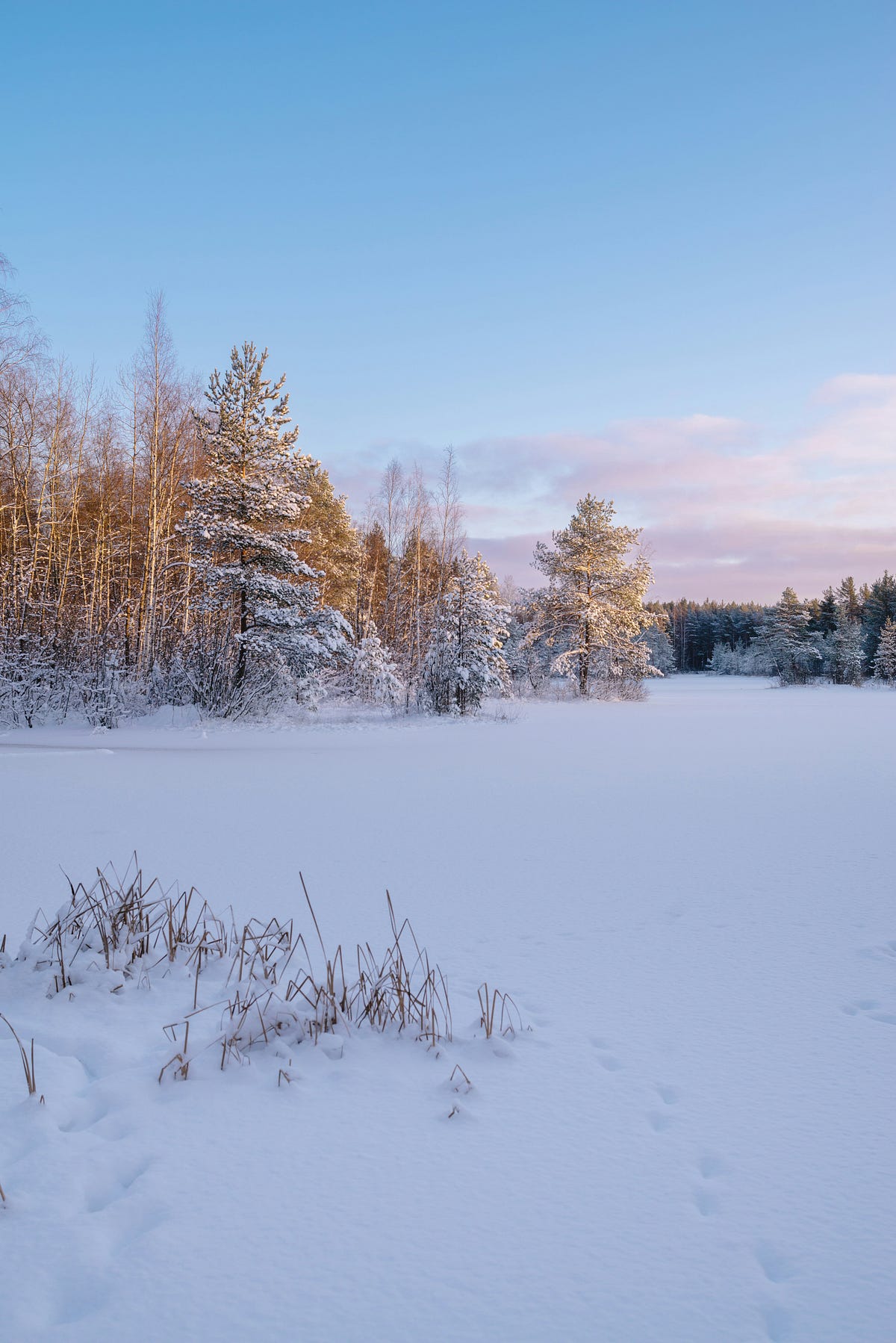 Ode On The Property Line - Kevin Groome - Medium