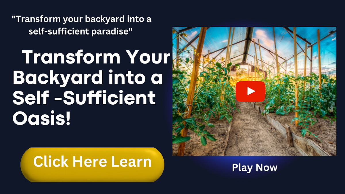 🌱 Transform Your Backyard into a Self-Sufficient Oasis! 🌿 - chetan r pawar - Medium