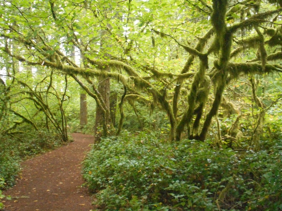 About A Path Less Traveled