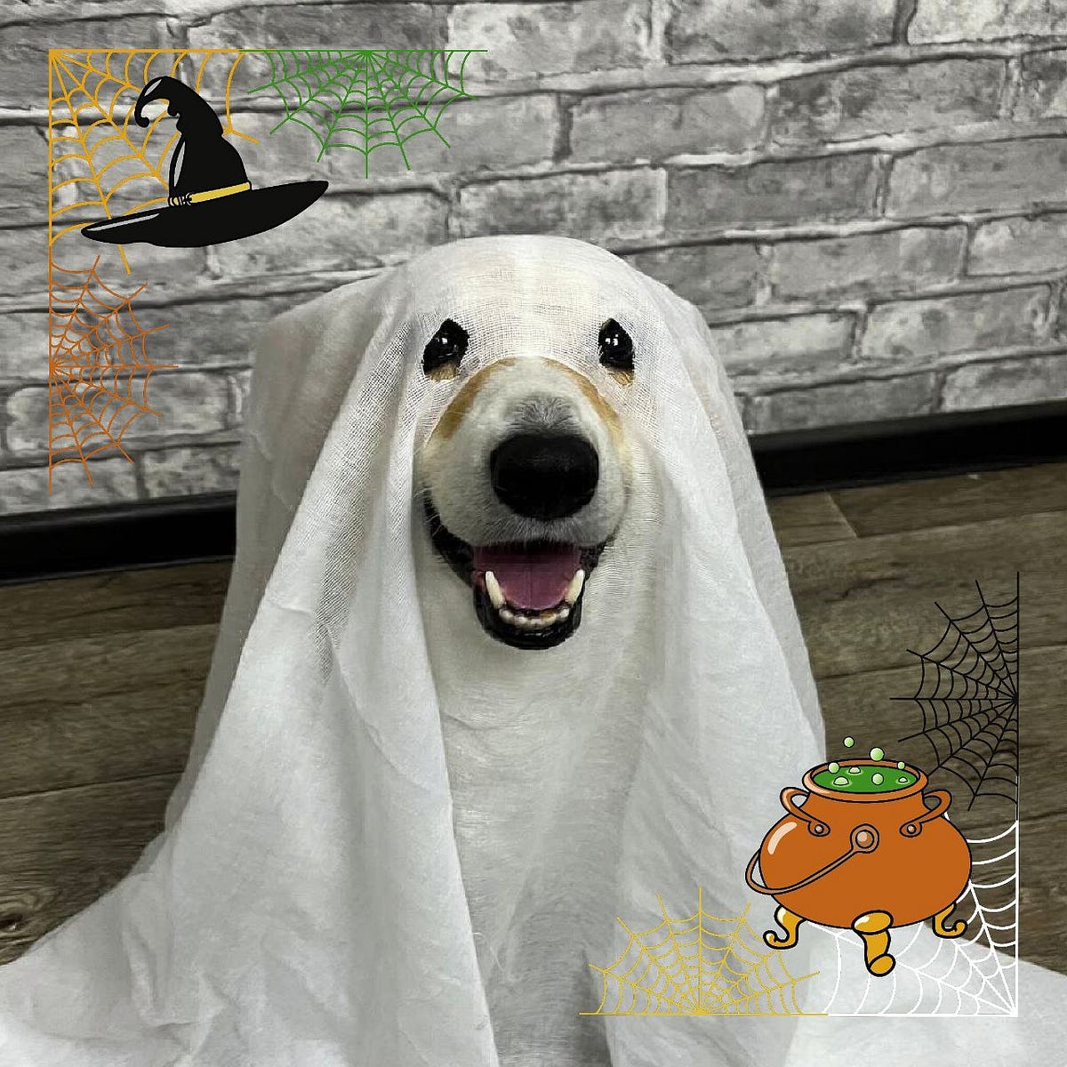 Add Some Personality to Your Photos with Insta Frames | by Orange Dog ...