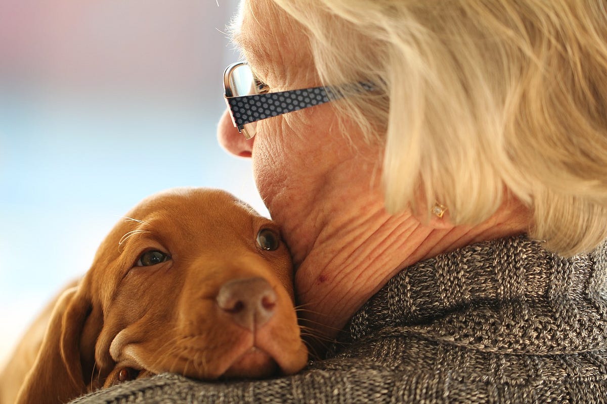 Adopt A Dog: Saving Their Life Might Also Save Yours | by Bridget ...