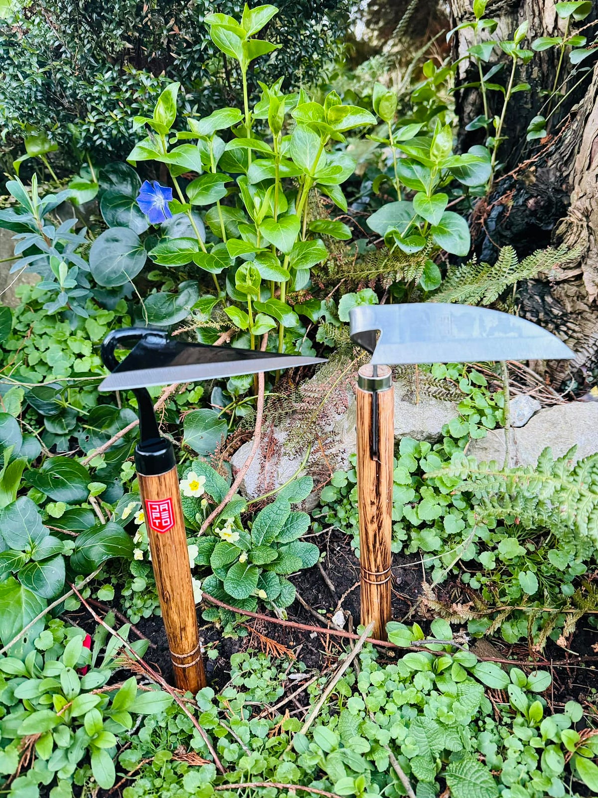Cultivating Harmony: The Essence of Japanese Gardening Tools | by ...