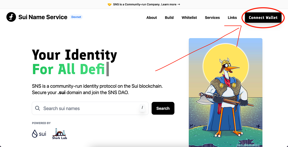 How to create a Sui Name Service (SNS) | by Lootus_ID | Medium
