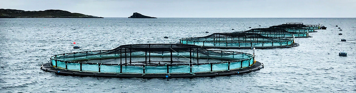 Trawling: Trawl Net Manufacturer & Supplier | Garware Fibres - Ganesh ...