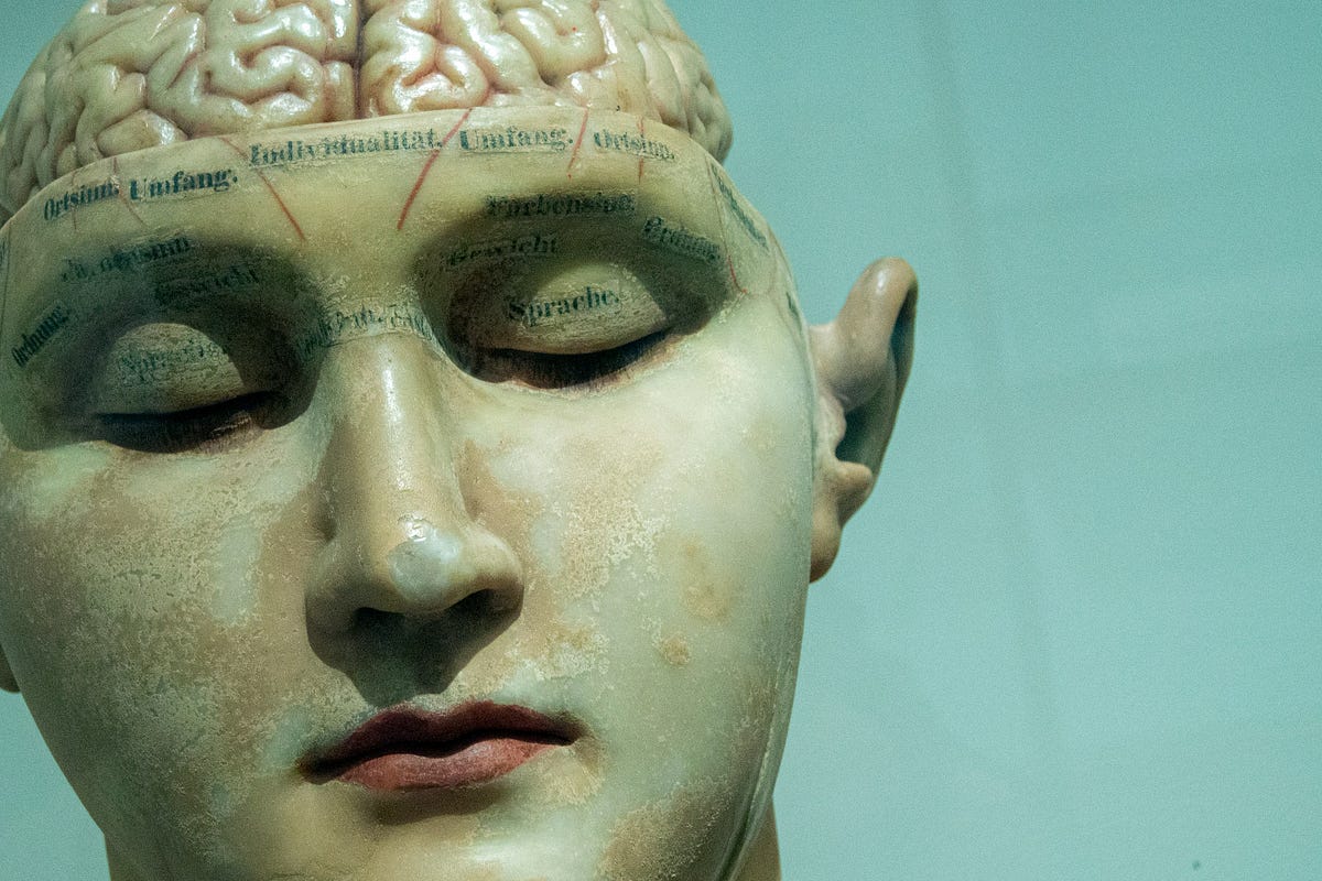 My Brain Divorced My Body. The Big Question Was: Who’s Getting… | by ...