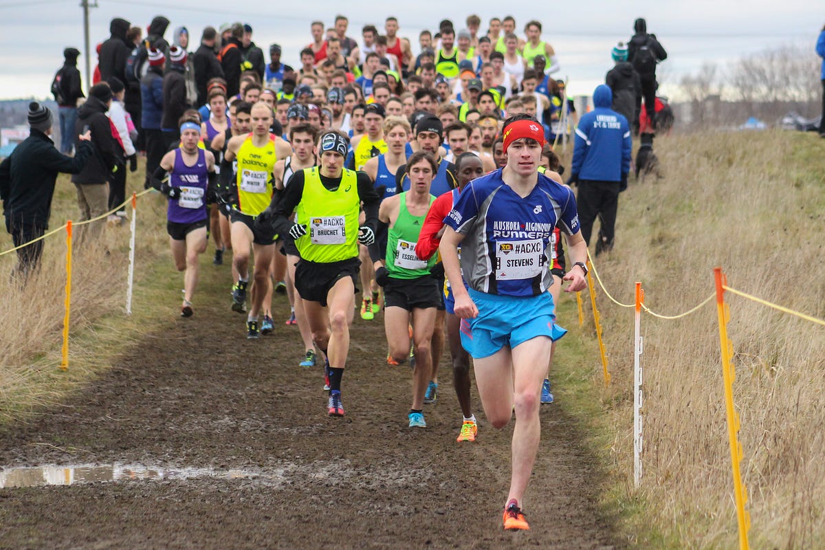 If you’re looking for a leader, then you are a follower. | by PierAldi ...