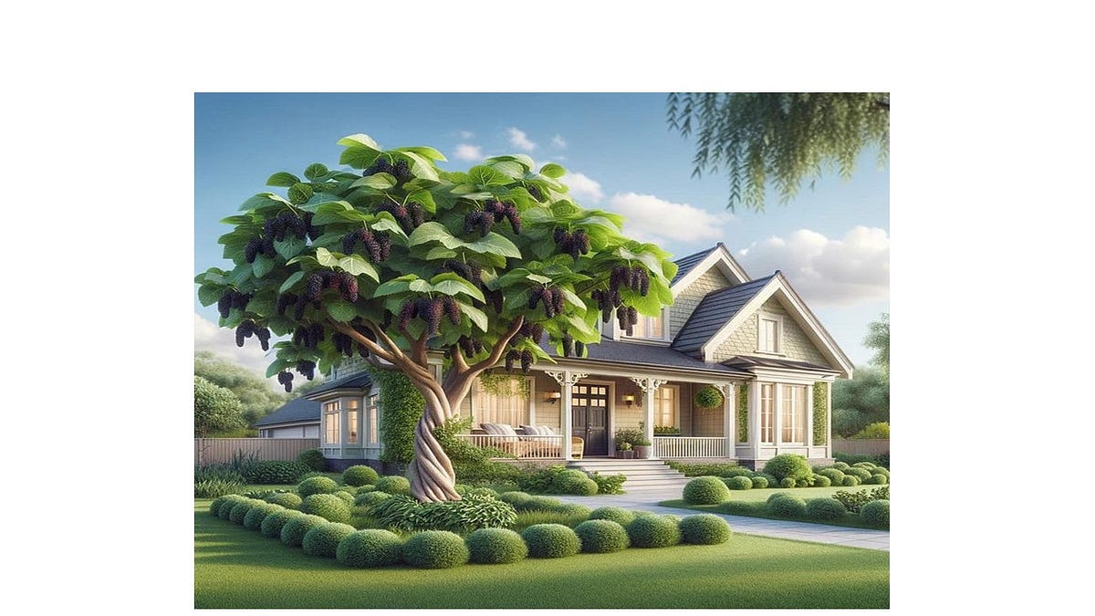 Understanding the Implications of the New City of Mulberry, GA on Real ...