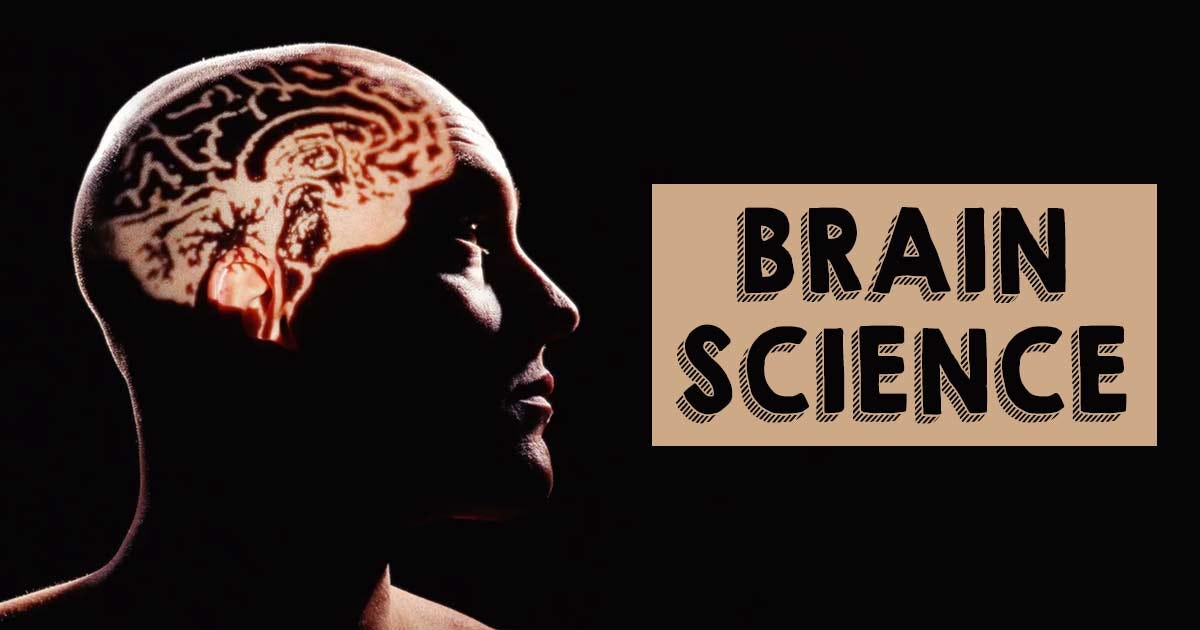 Brain Science. Brain science, also known as… | by Mind Help | Nov, 2023 ...