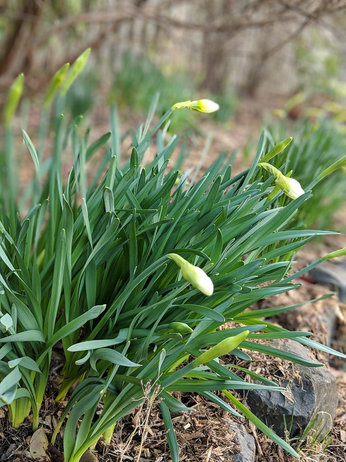 Faith. first to be understood, then to be… | by K.M. Fullerton ...