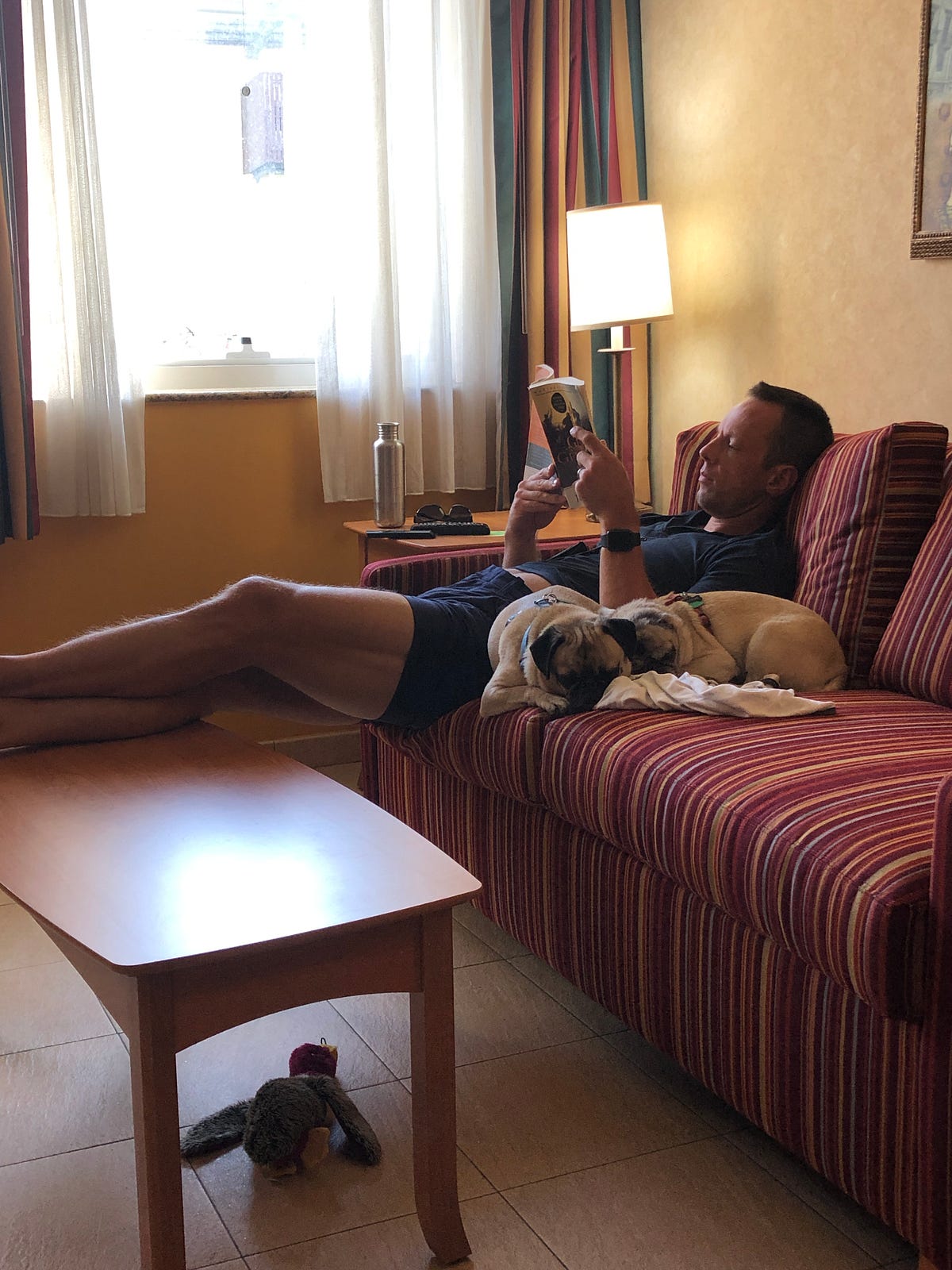 Dogs get jet lag, too. Disclaimer: I am not a veterinarian, so… | by ...