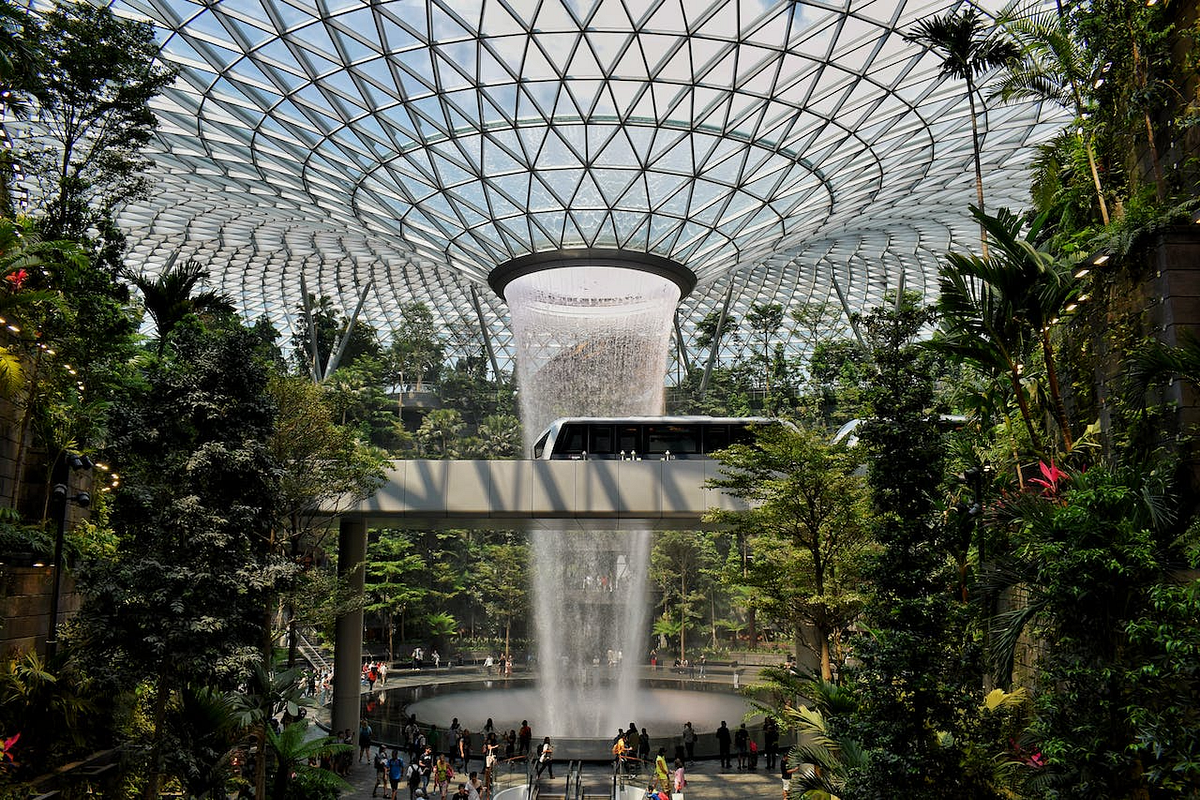 Biophilia as a Design Approach that Supports the Health and Wellbeing ...
