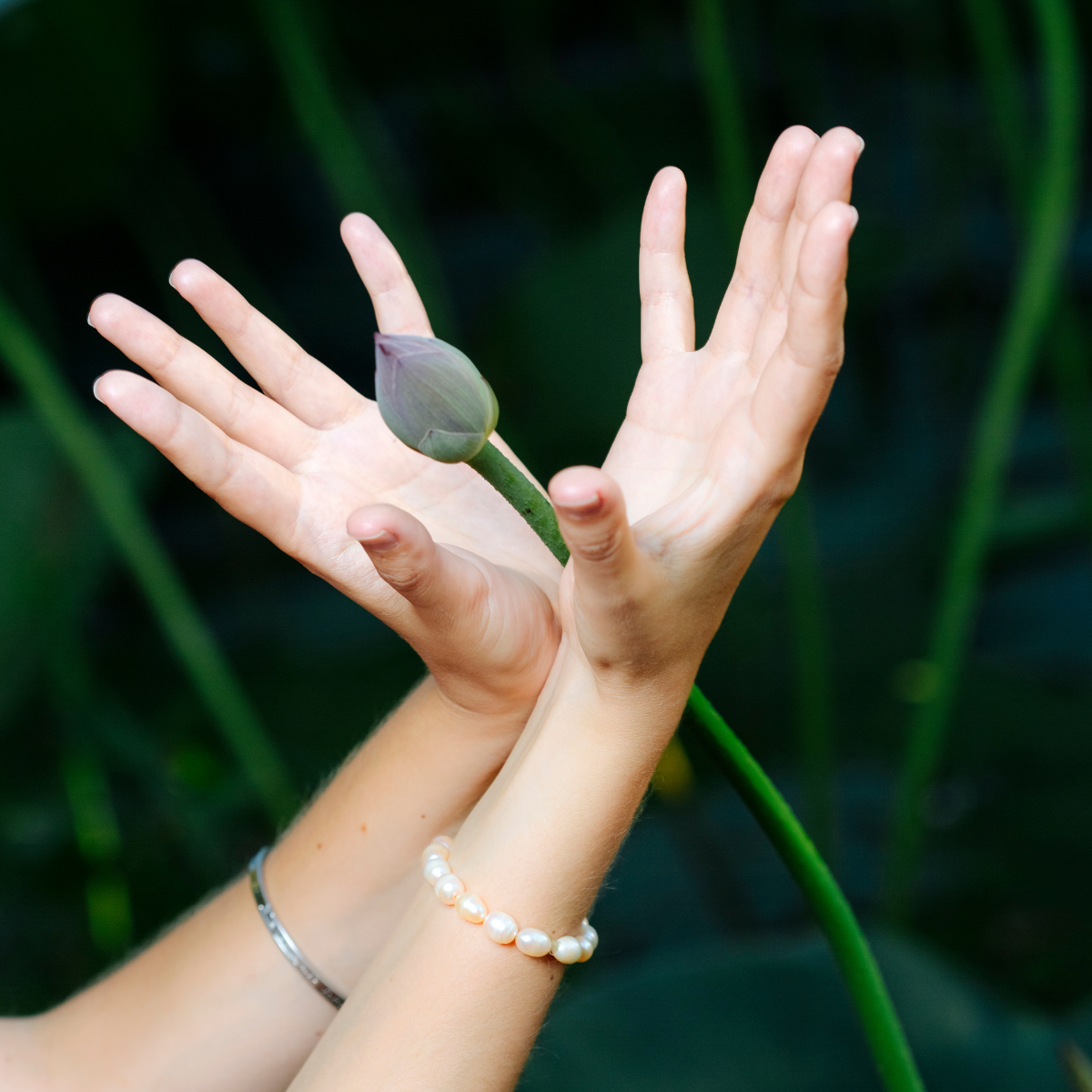 The true essence of Reiki — Japanese traditional way of life for ...