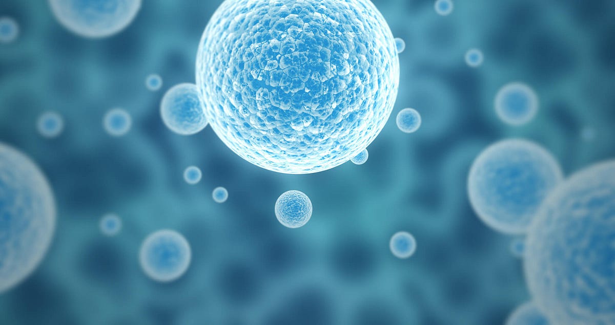Neural Activity in Cerebral Organoids: a New Tool to Find Cures | by Veda Bhattaram | Medium