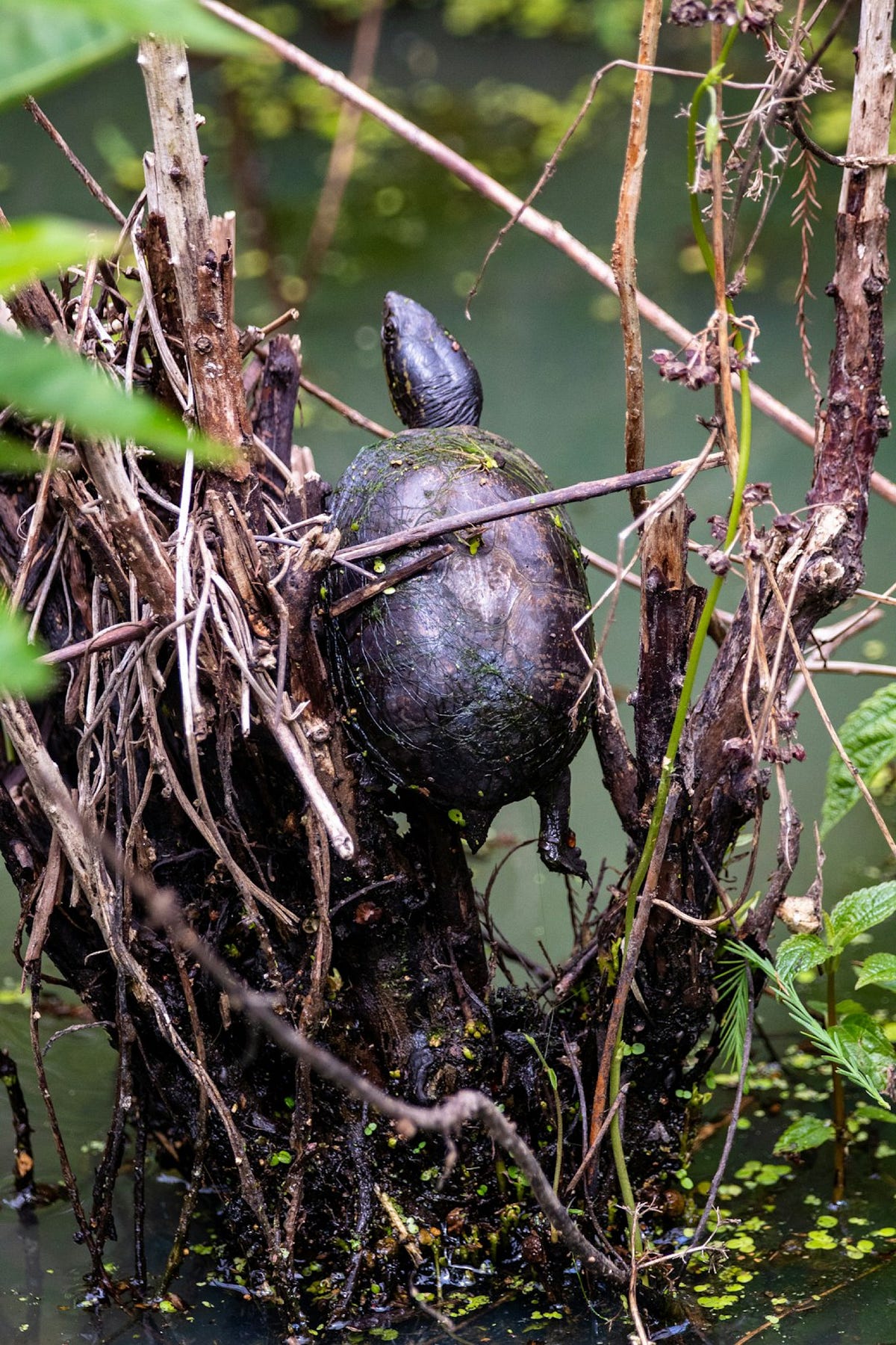 How a 6 month Wait Changed Everything | by Anjali | Mr. Plan ...
