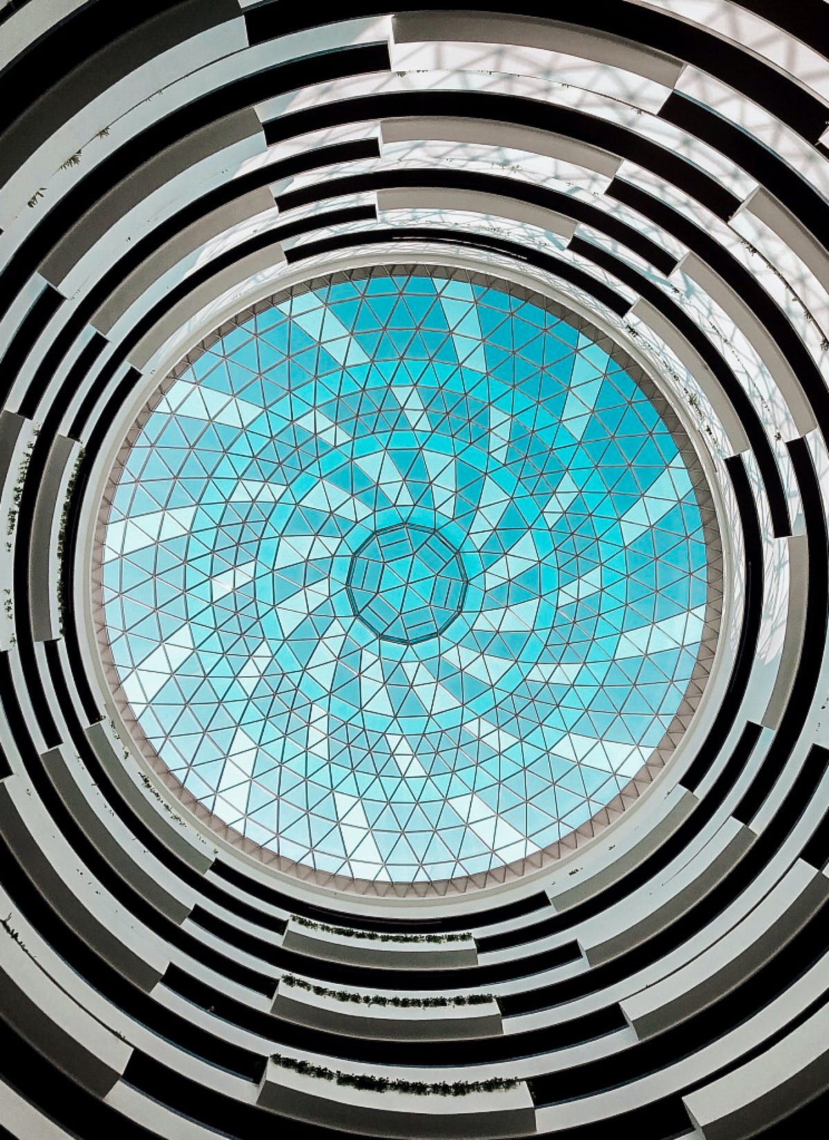 Why becoming a circle is the best solution for a future | Climate Conscious