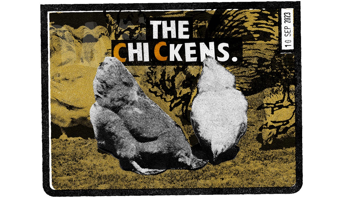 004: The chickens.. “I don’t understand,” he said… | by tom cornfoot ...
