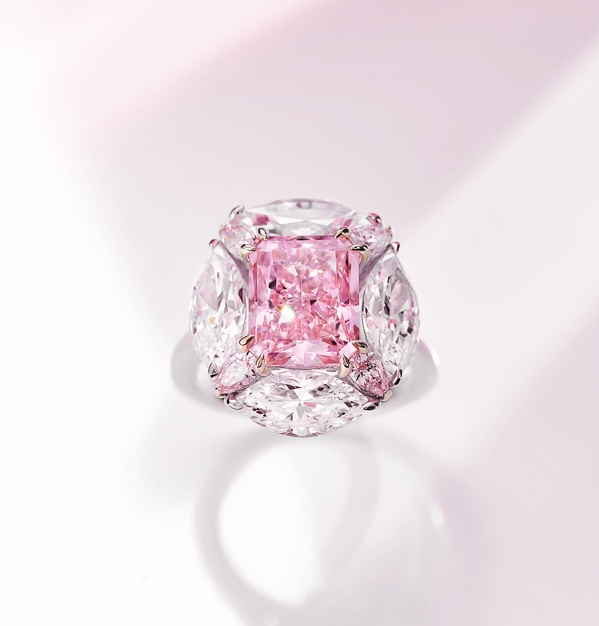 DISCOVER THE DAZZLING WORLD OF BOODOO &CO. - BOODOO &CO. - Medium