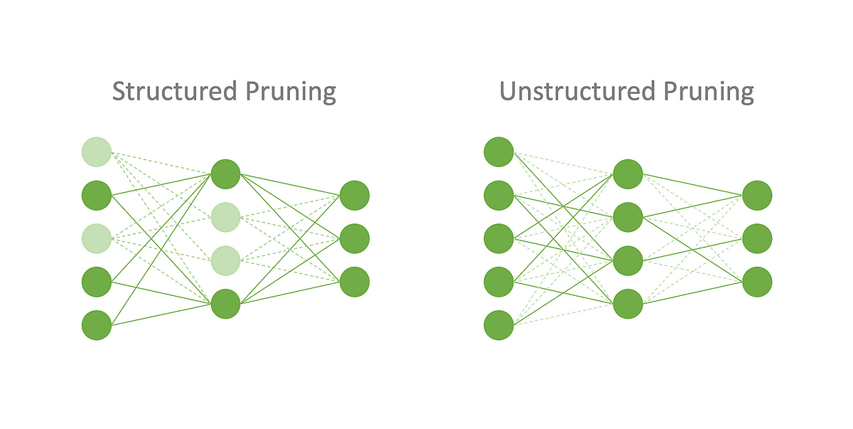 Difference Between Structured and Unstructured Pruning in Neural | by Muhammad Hammad Siddiqui ...