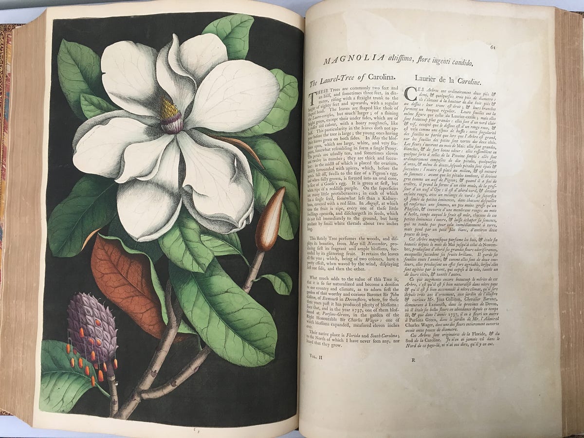 My Trip to the ZSR’s Special Collections and Archives | by Emma Claire ...