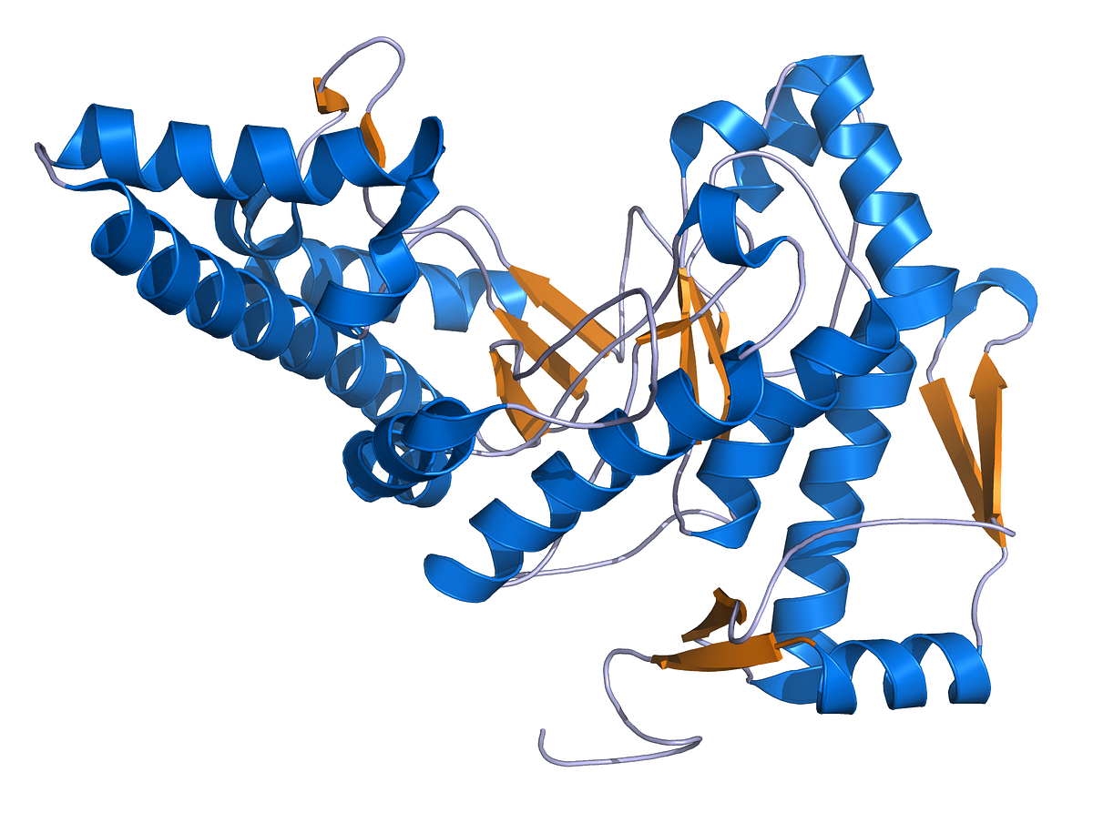 Global Hyaluronidase Market Size, Share, Demand & Trends Analysis Report 2028 | by Mathew Rigsby ...