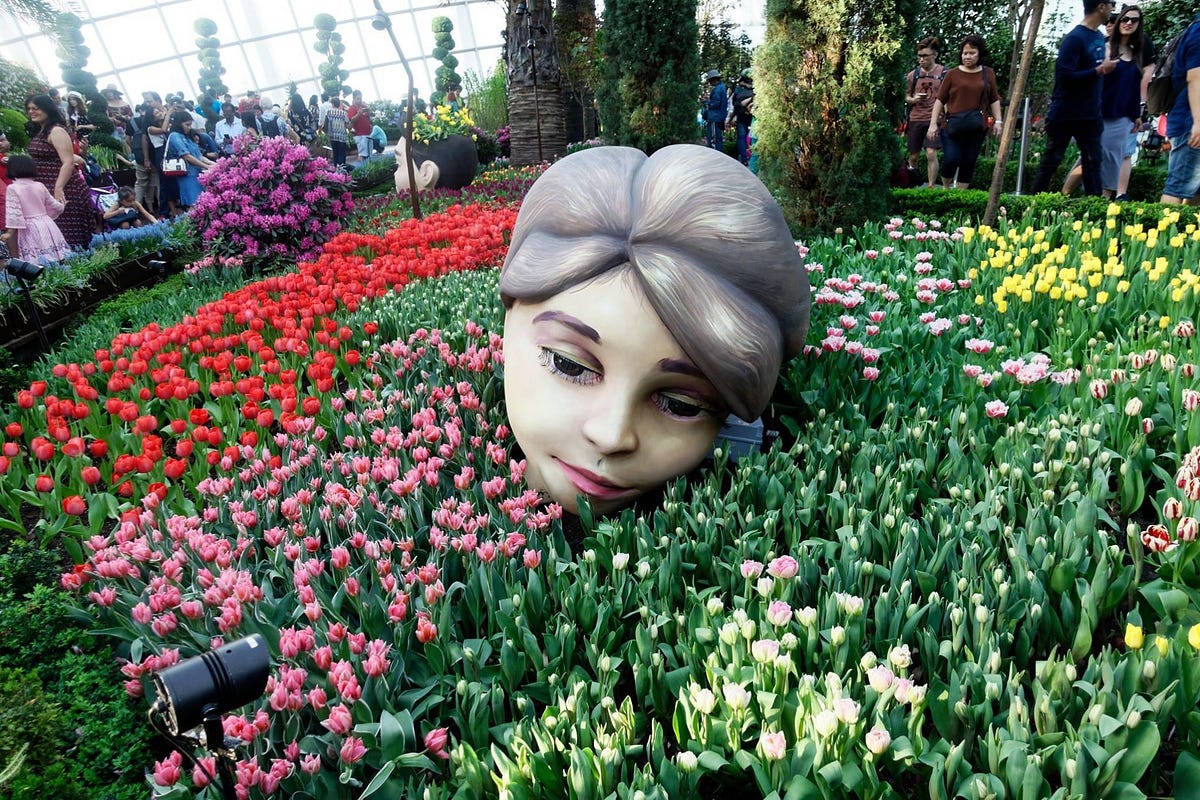 Turning Random Phone Photos Into Stories And Treasured Memories | by ...