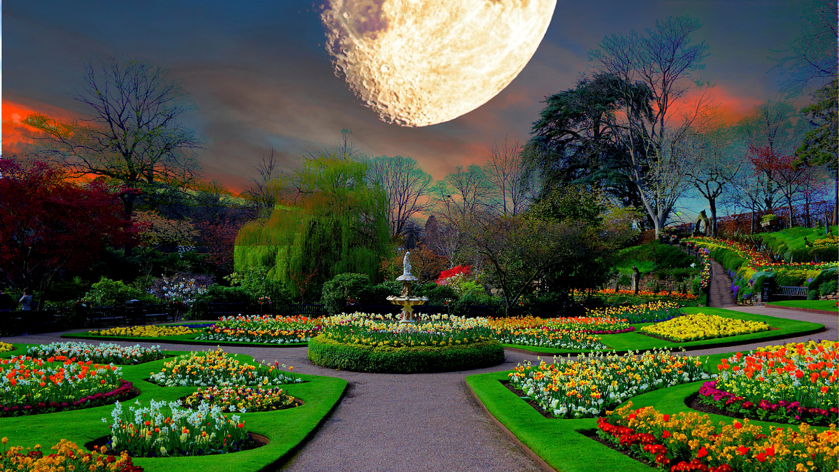 Flower Moon | Astrology News May 2024 | by Rose Burnett | Apr, 2024 ...