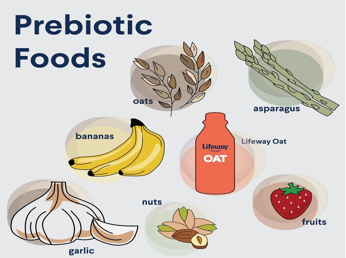 Prebiotic Food Market to Witness Steady Growth at 10.8% CAGR | by Gracy ...