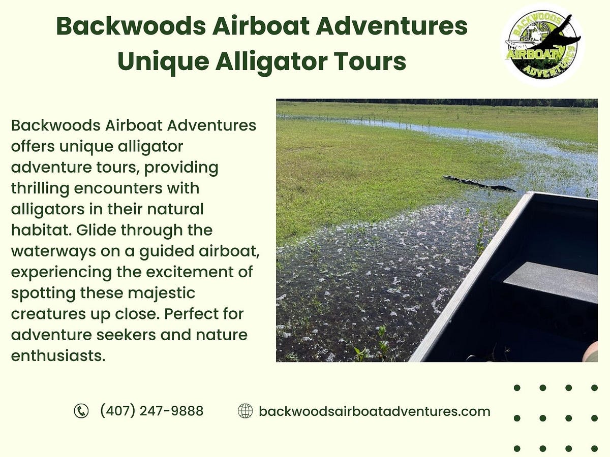 Backwoods Airboat Adventures Unique Alligator Tours ...