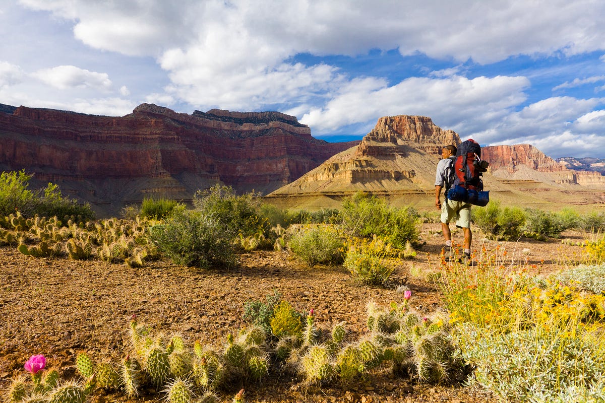 Top 7 Money Milestones. All aboard our Money Milestone Express… | by ...