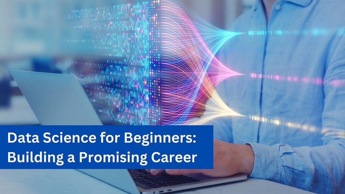 Data Science for Beginners: Building a Promising Career | by Rajaarya | Medium