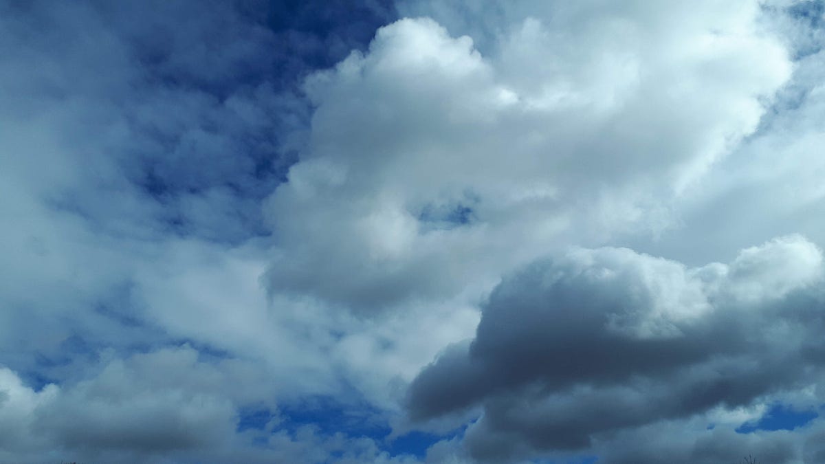 Growing the Ecological Self: Wind | by Kat Palti | Deep Ecology Studies ...