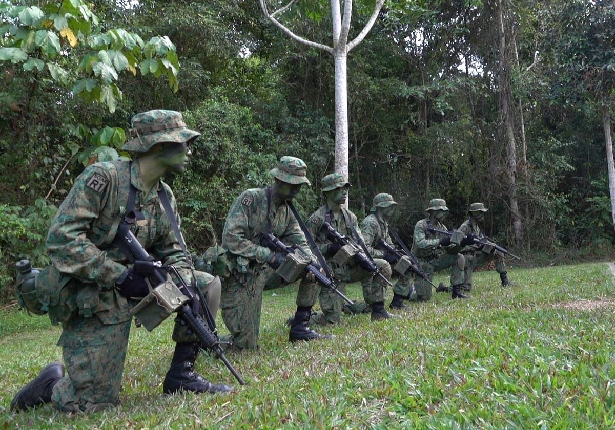 “You Enjoyed National Service? You’re Not Normal.” | by Roy Phang | Nov ...