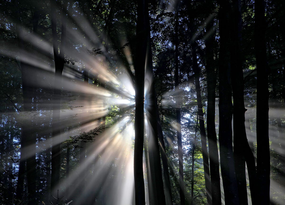 Collapsing timelines — breathe into the process of the unknown!! | by ...