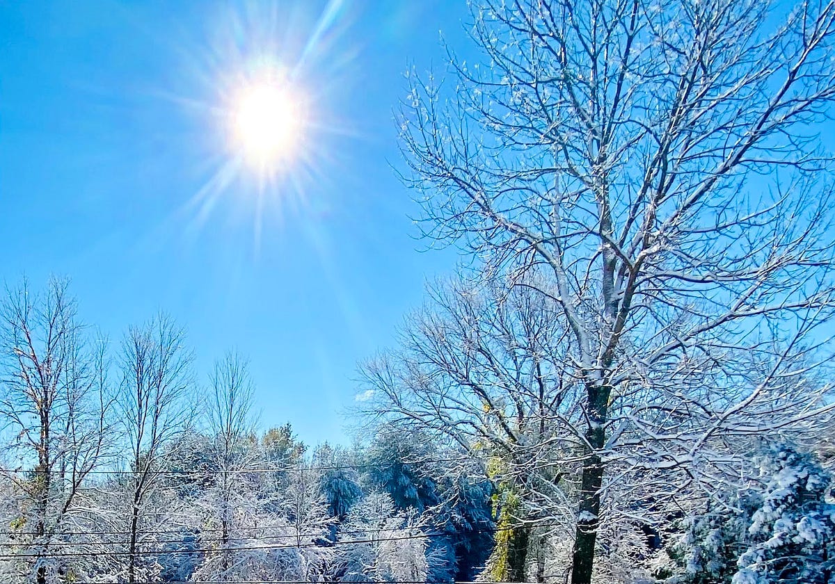 Mourning Weather. For anyone who has loved and lost, time… | by Joanna ...